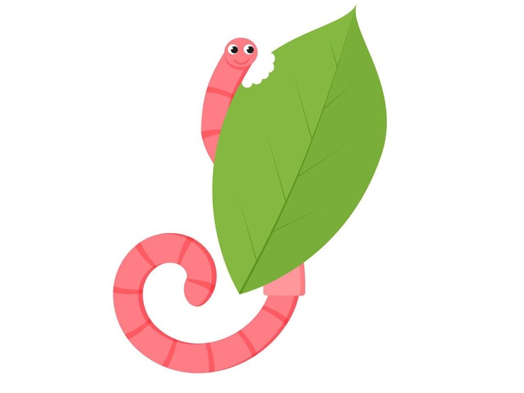 The Role of Earthworms in Sustainable Agriculture - Ramistech