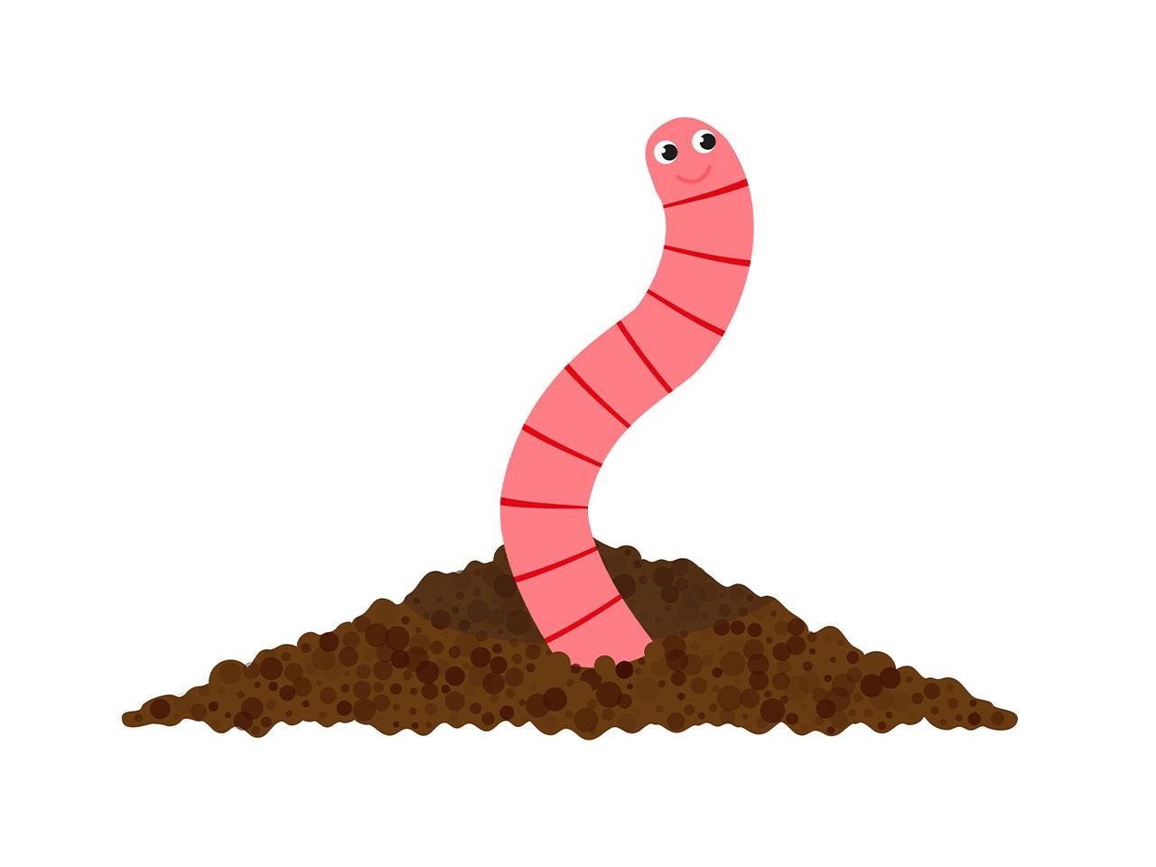 The Role of Earthworms in Sustainable Agriculture - Ramistech